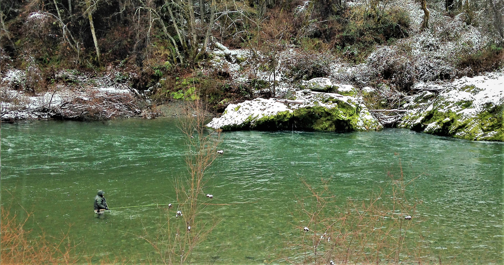 Trinity River Steelhead | Steel Bridge Guides